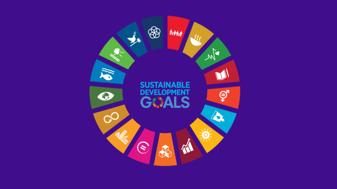 SDGs and sustainability: what does it mean for your business? | Eevery